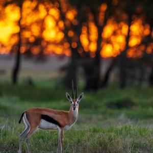 Varun Aditya | Sony Photography Artisan | Sony Alpha Community