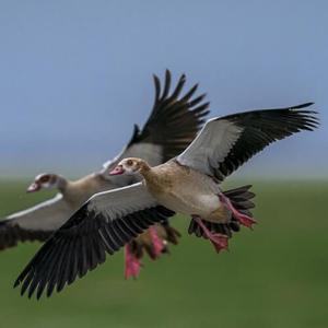 Varun Aditya | Sony Photography Artisan | Sony Alpha Community